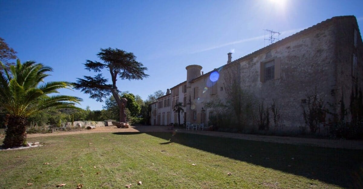 Château de Gaure - Winery in Languedoc-Roussillon | Winetourism.com