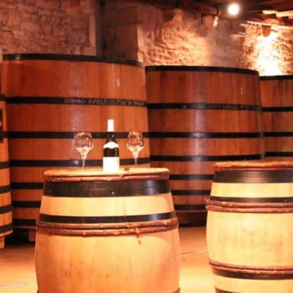 Organic Wine Tasting at Château de Gaure, Languedoc | Winetourism.com