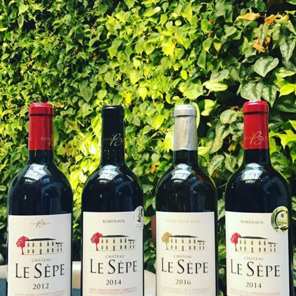 Wine Tasting & Tour at Château Le Sèpe in Dordogne | Winetourism.com