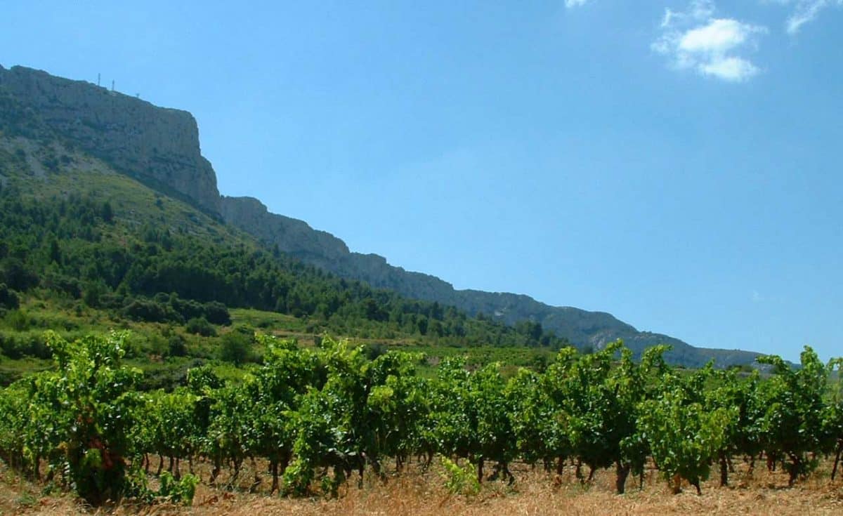 Roussillon – a Long Tradition of Wine Making | WineTourism.com