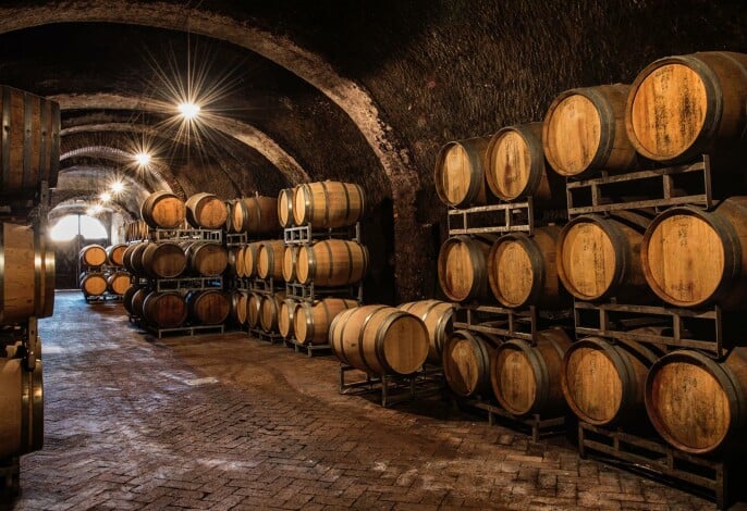 Cantina il Passo - Picnic in the Vineyard with cellar visit at Cantina ...