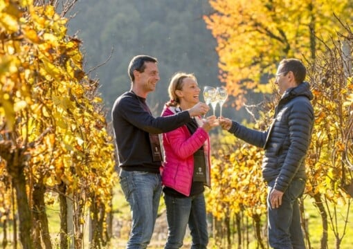 Franciacorta - Wine Region in Lombardy, Italy | Winetourism.com