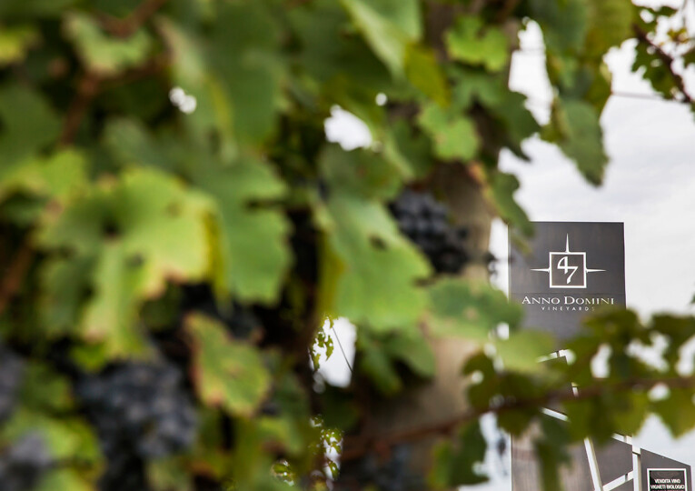 Veneto Wine Region, Italy | WineTourism.com