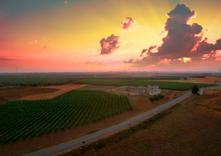 Best Wineries in Puglia Wine Region, Italy | WineTourism.com