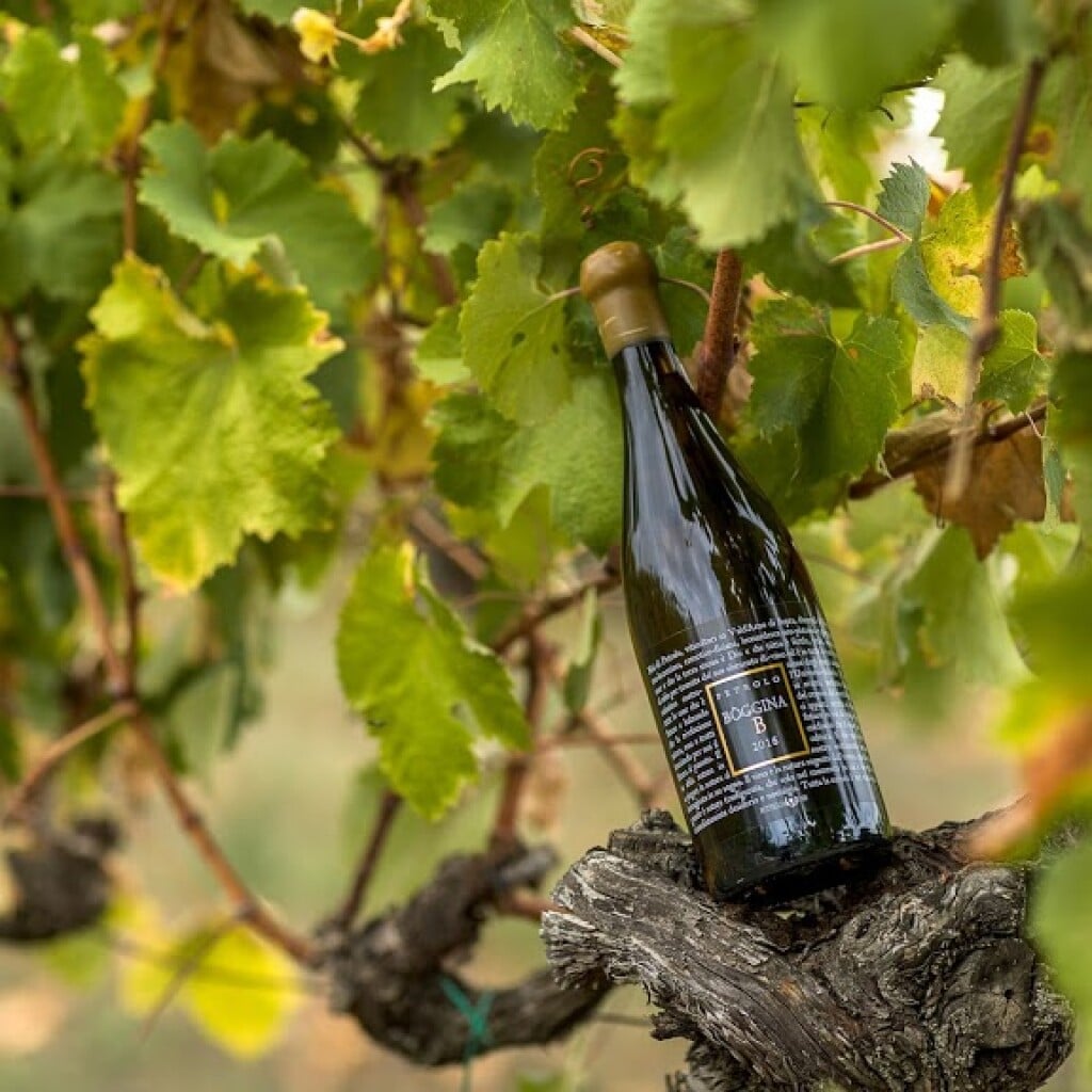 Petrolo Wine Estate Tasting & Tour in Tuscany | Winetourism.com