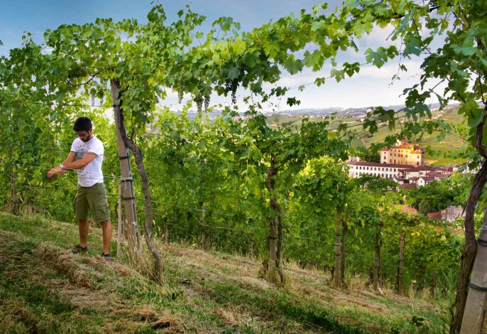 10 best wineries in Puglia to visit in 2023 | Winetourism.com