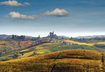 10 best wineries in Piedmont to visit in 2023 | Winetourism.com