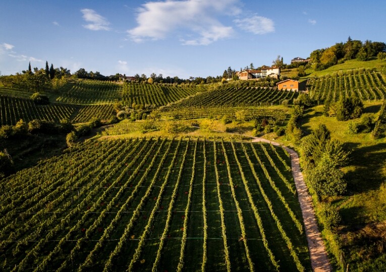10 best wineries in Lombardy to visit in 2022 | Winetourism.com