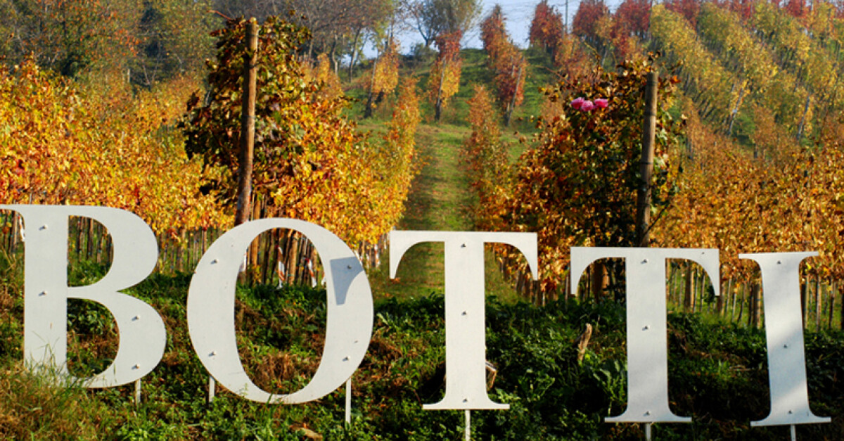 Wine Tasting & Tour at Botti Enrico Winery, Lombardy | Winetourism.com