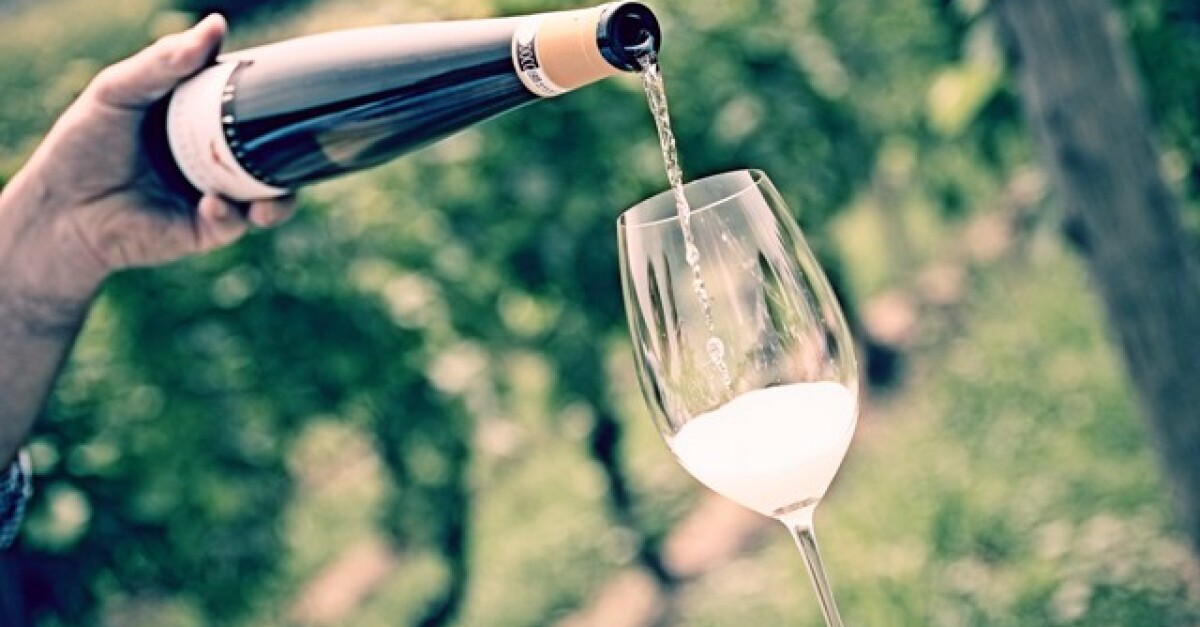 Tenuta Il Falchetto - Wine Tasting & Tour | Winetourism.com