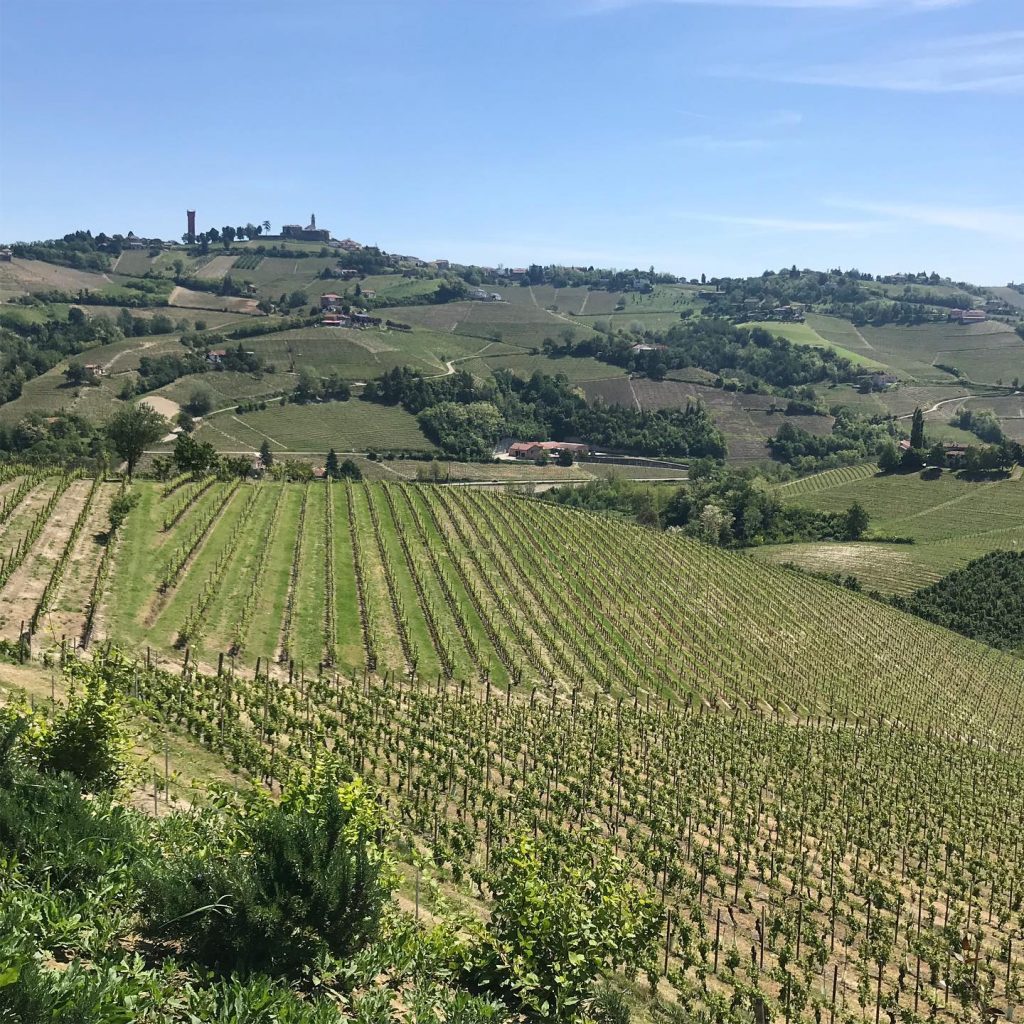 Matteo Soria - Winery in Piedmont | Winetourism.com