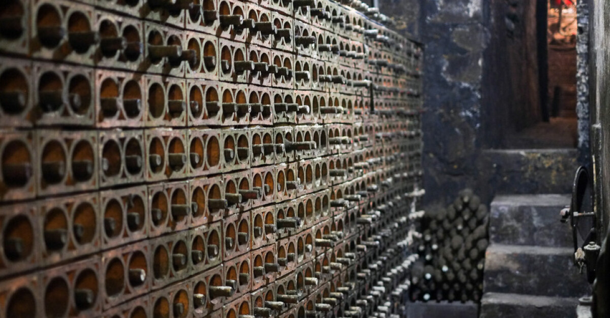 Petrolo - Winery in Tuscany | Winetourism.com