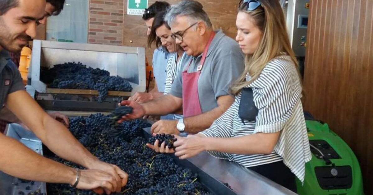 Wine Tasting & Tour at Mauro Sebaste Winery | Winetourism.com