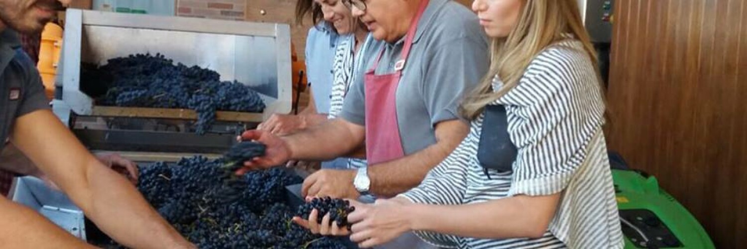Mauro Sebaste - Wine Tasting & Tour | Winetourism.com