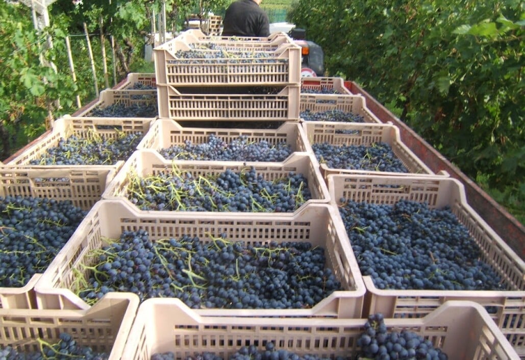 Interesting Facts about Valpolicella in Veneto region | Winetourism.com