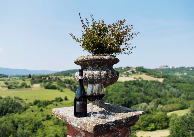 Monferrato - Wine Region in Piedmont, Italy | Winetourism.com