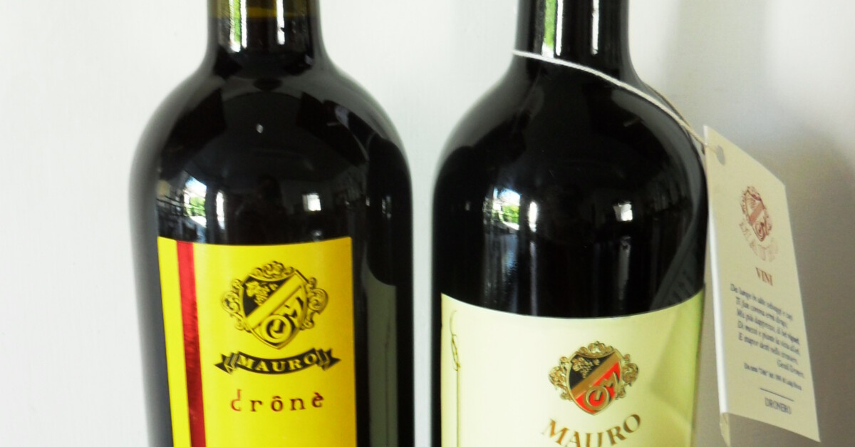 Wine Tasting & Vineyard Tour at Mauro Vini, Piedmont | Winetourism.com