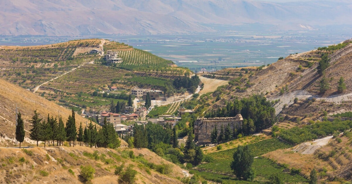 Bekaa Valley Wine Region Guide | WineTourism.com