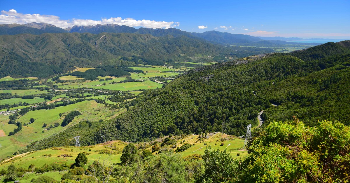 Nelson Wine Region Guide | WineTourism.com