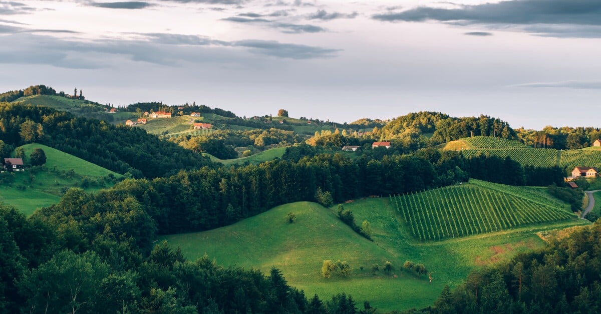 Styria Wine Region Guide | WineTourism.com
