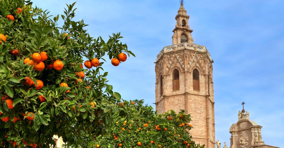 Valencia Wine Region Guide | WineTourism.com