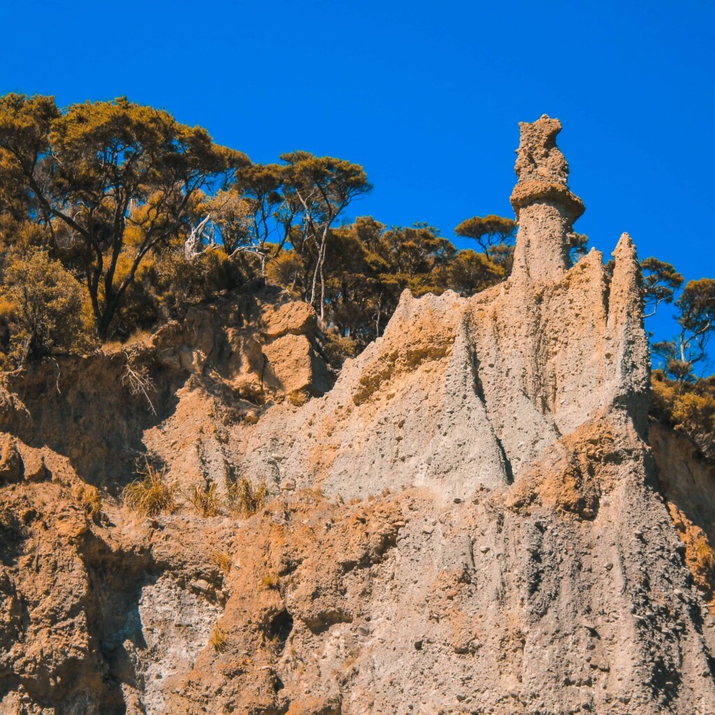 Masterton Wine Region 2026: Wairarapa's Finest | WineTourism.com