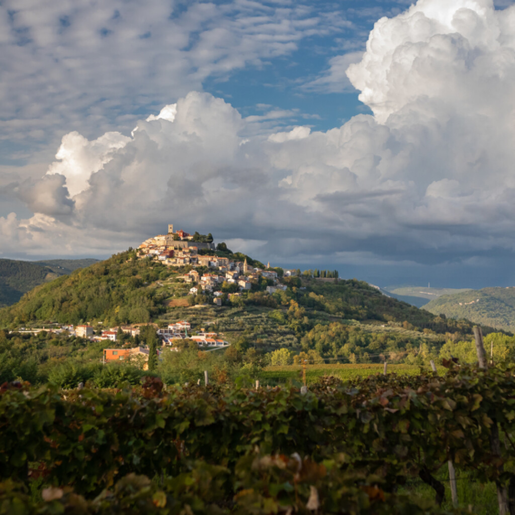 Istria Wine Region Guide | WineTourism.com