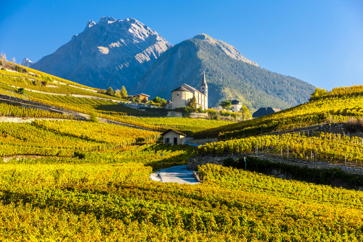 Wine Tourism in Switzerland | WineTourism.com