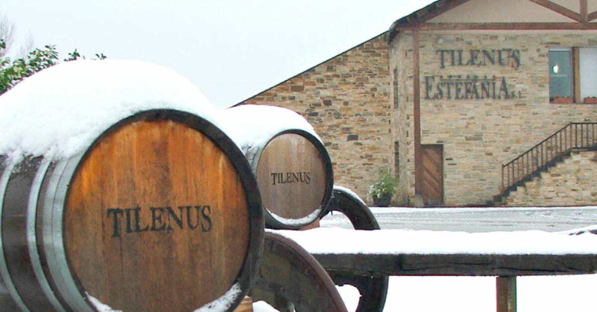 Bodegas Estefania - Winery in Castile and Leon | Winetourism.com