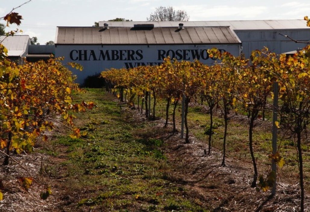 Mount Macedon Winery - Winery in Victoria | Winetourism.com