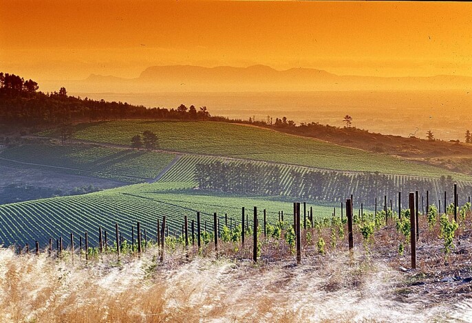 Saxenburg Estates - Winery in Stellenbosch | Winetourism.com