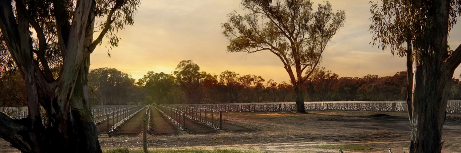 Andrew Peace Wines - Wine Tasting & Tour | Winetourism.com