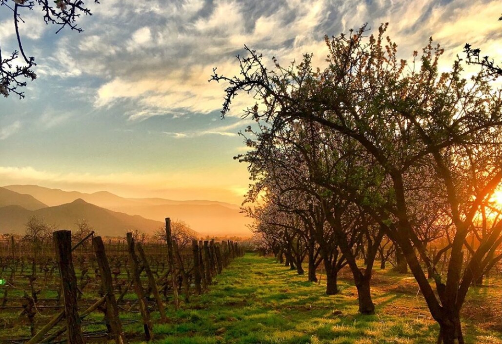 Top Chilean wine regions to visit in 2023 | Winetourism.com