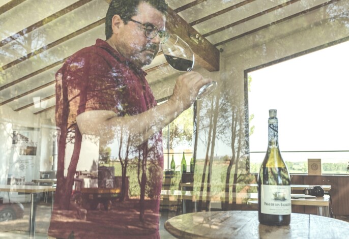 Top 10 Valencia Wine Tours in 2023 | WineTourism.com