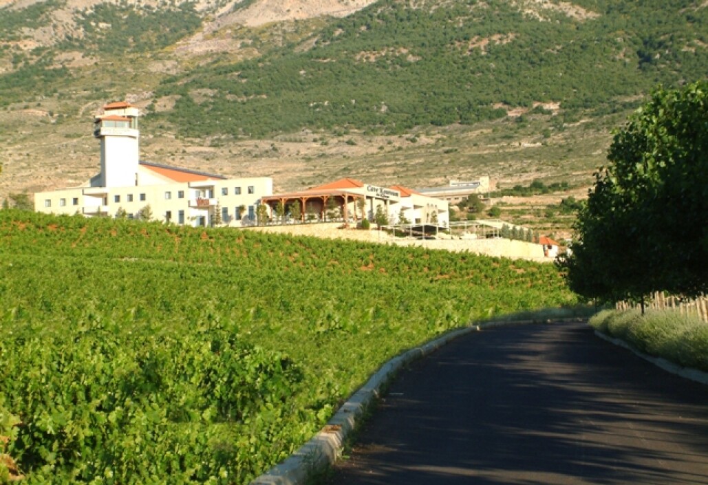 Your 2023 guide to Bekaa Valley wine region | Winetourism.com