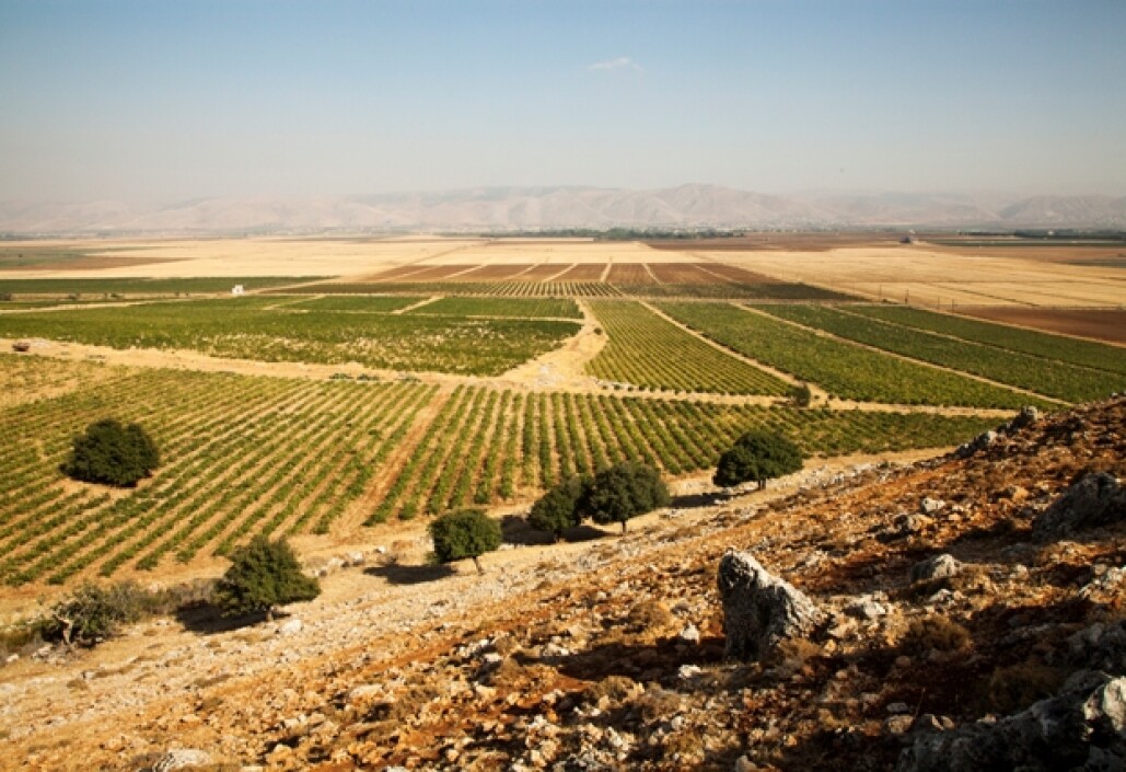 Your 2023 guide to Bekaa Valley wine region | Winetourism.com
