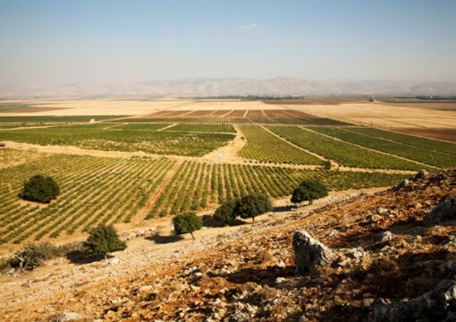 Bekaa Valley Wine Region, Lebanon | Winetourism.com