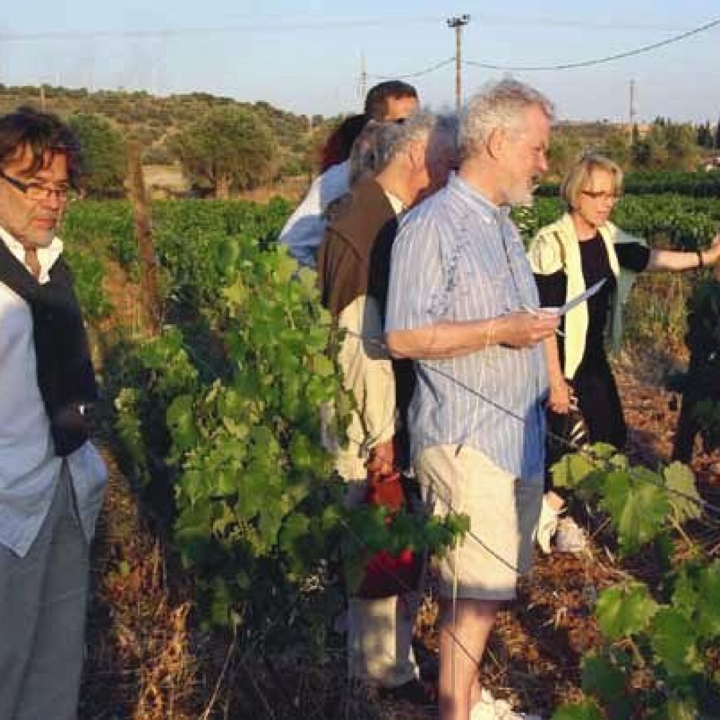 Georgas Family - Wine Tasting & Tour | Winetourism.com