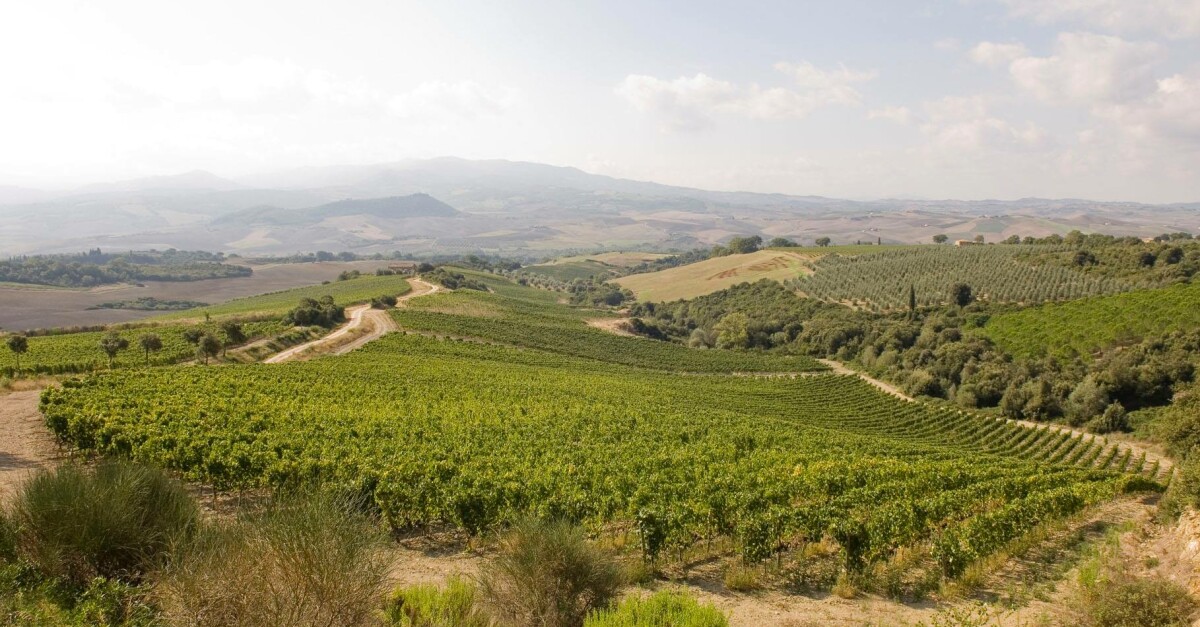 Grand Tokaj - Winery in Tokaj | Winetourism.com
