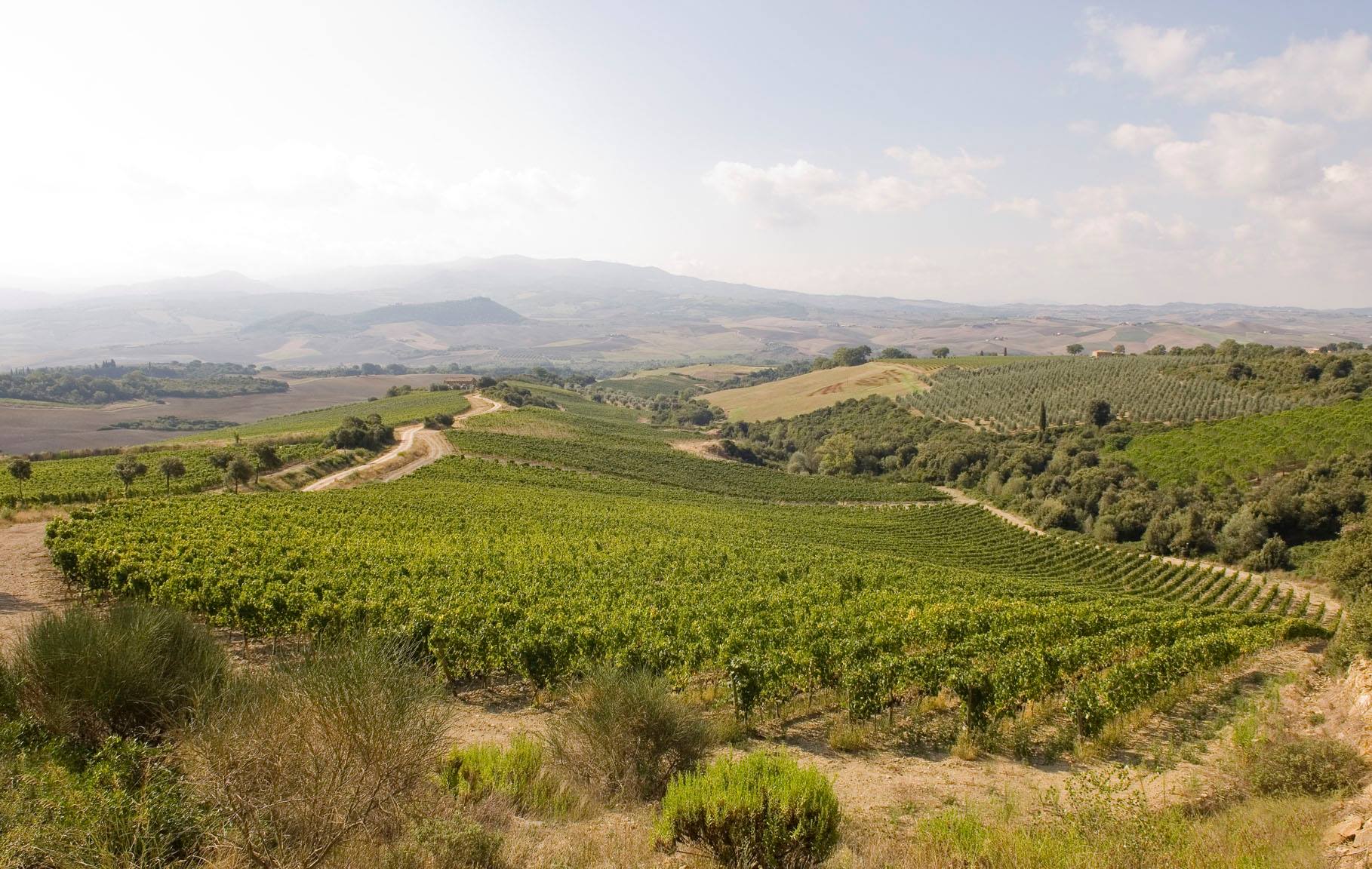 Grand Tokaj - Wine Tasting & Tour | Winetourism.com