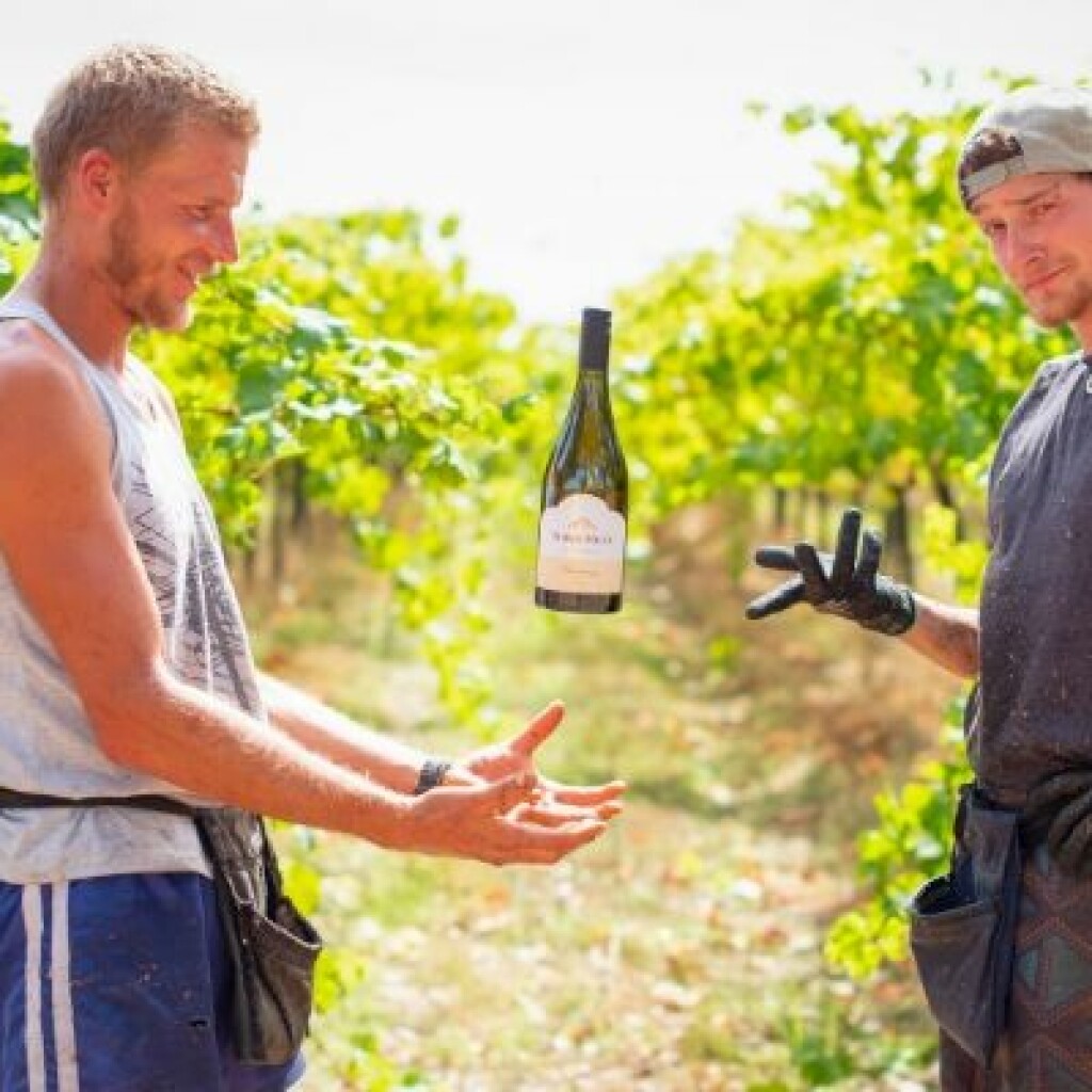Wine Tasting & Pottery at Happs Estate Winery | Winetourism.com