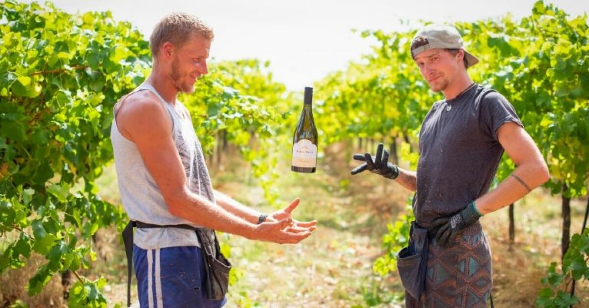 Wine Tasting & Pottery at Happs Estate Winery | Winetourism.com