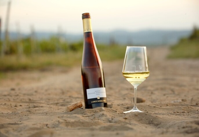 Your 2023 guide to best food and wine tours in Pfalz Wine Region ...