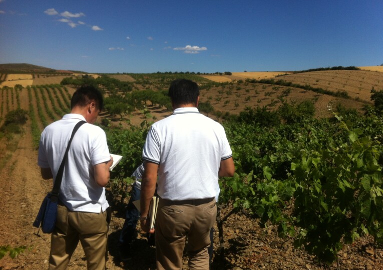 Calatayud - Wine Region in Aragón Wine Region, Spain | Winetourism.com
