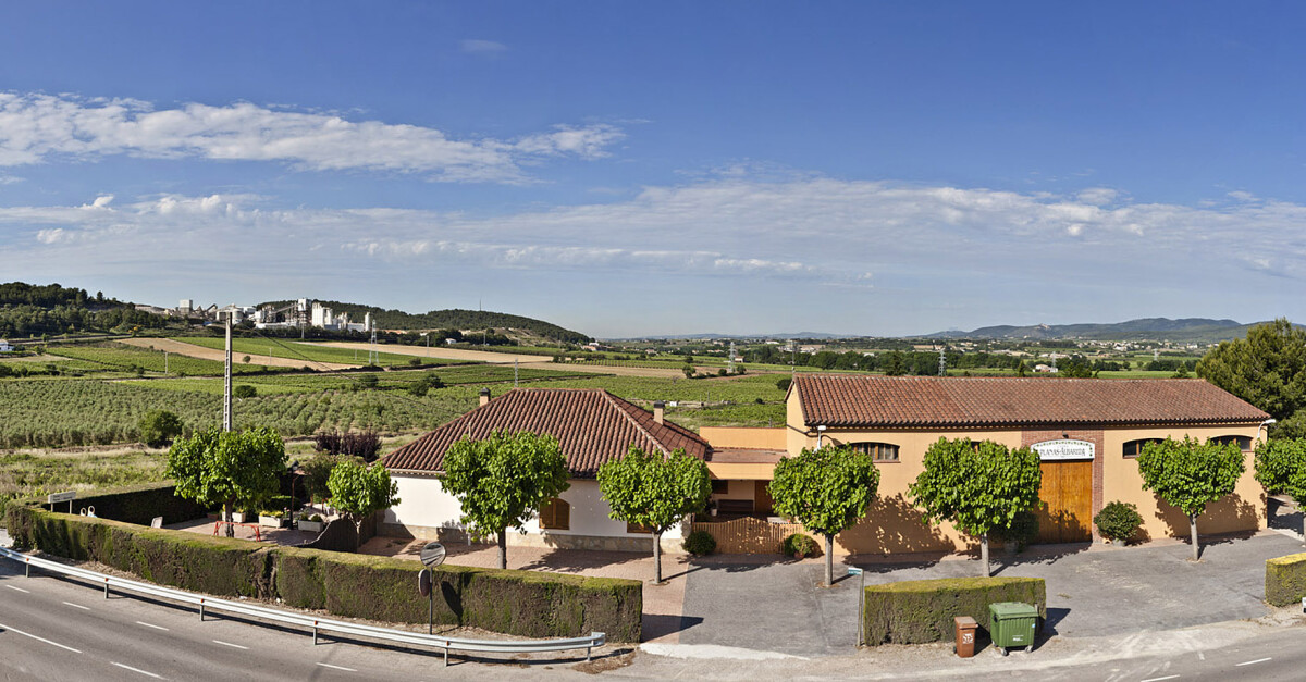Wine Tasting & Tour at Planas Albareda Cellar, Penedès | Winetourism.com