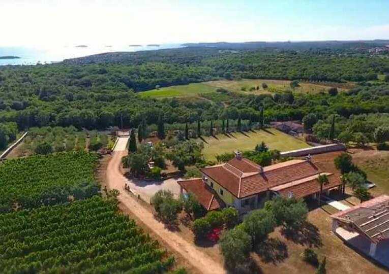10 best wine tours & tastings in Croatia 2022 | Winetourism.com