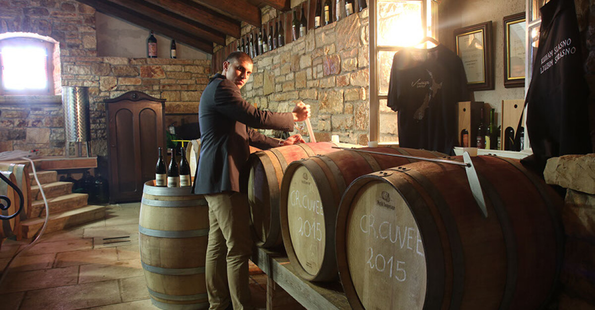 Degustazione e tour della vinificazione a Collis in Istria| Winetourism.com