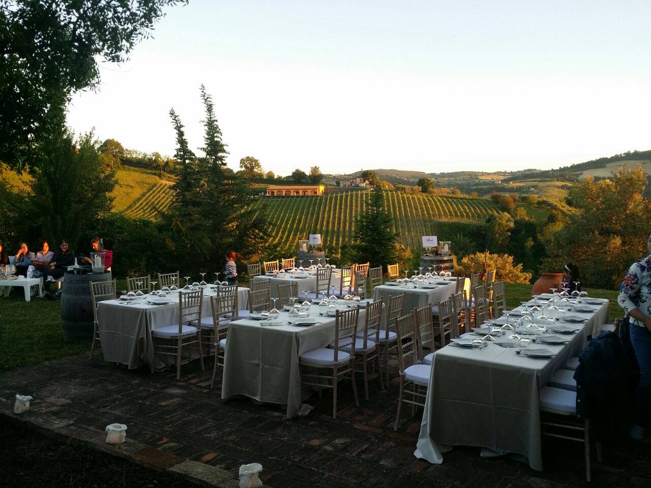 Azienda Agricola Zaccagnini - Wine Tasting & Tour | Winetourism.com