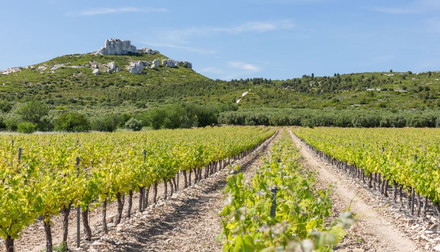Château Virant - Wine Tasting & Tour | Winetourism.com