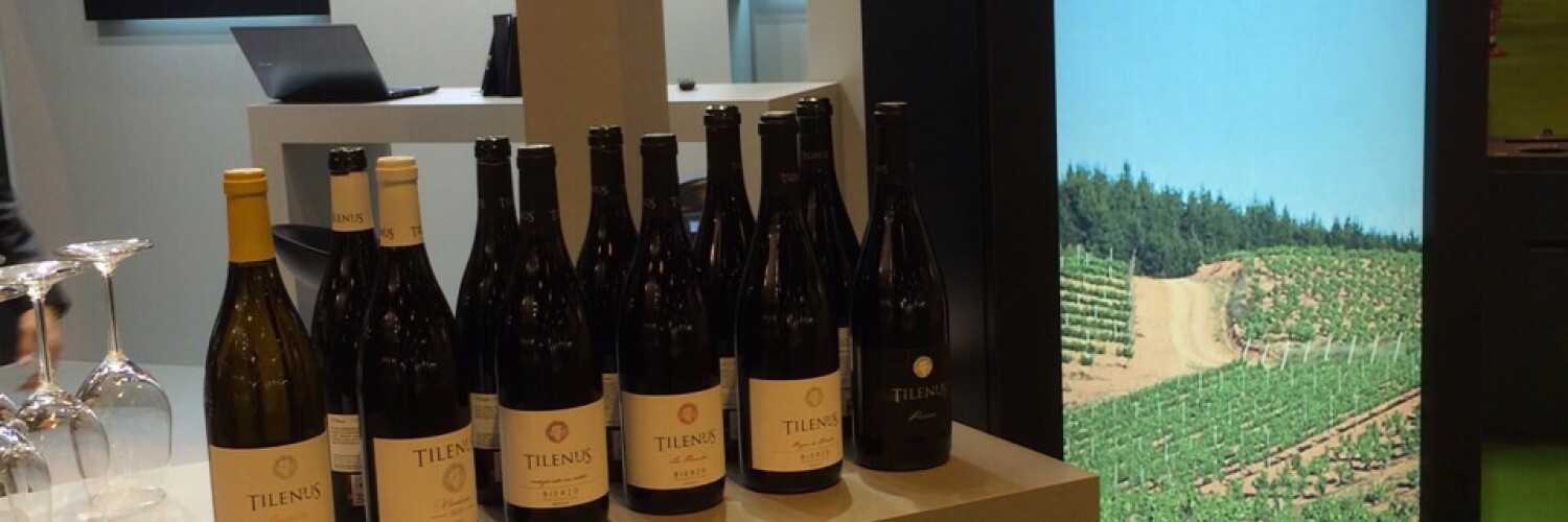 Bodegas Estefania - Winery in Castile and Leon | Winetourism.com